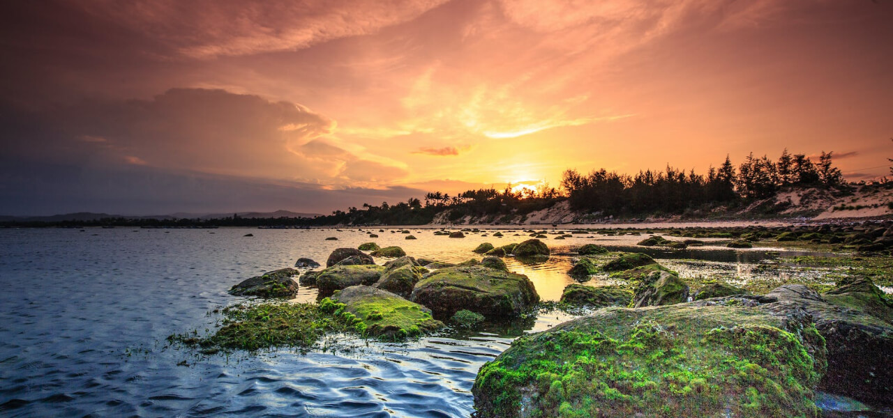 Home - Biofly Proteins